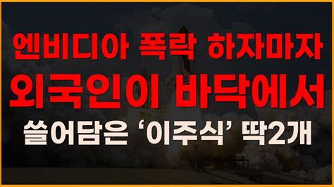 엔비디아 폭락 하자마자 외국인이 바닥에서 쓸어담은 이주식 딱2개 한미반도체 제주반도체 6월주식전망 한미반도체주식전망 2024년주식전망 Youtube