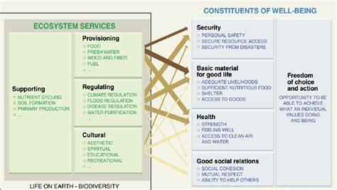 Linkages Between Ecosystem Services And Human Well Being Source