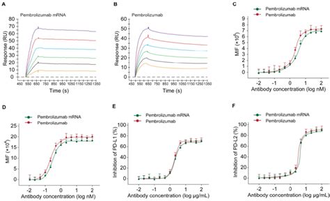 Binding Affinity And Ligand Blocking Measurements Of Pembrolizumab From