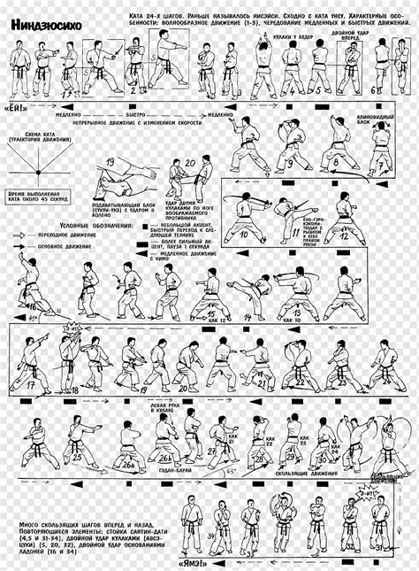 Shotokan Karate Moves