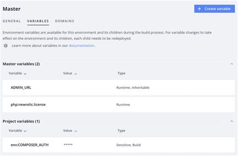 Variable Levels And Options Adobe Commerce