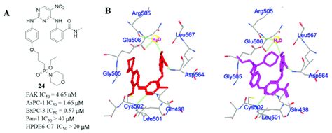 A Chemical Structure Of Compound 24 B Predicted Binding Models Of Download Scientific