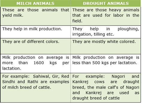 Differentiate Between Milch Breed And Draught Breed Of Cattle