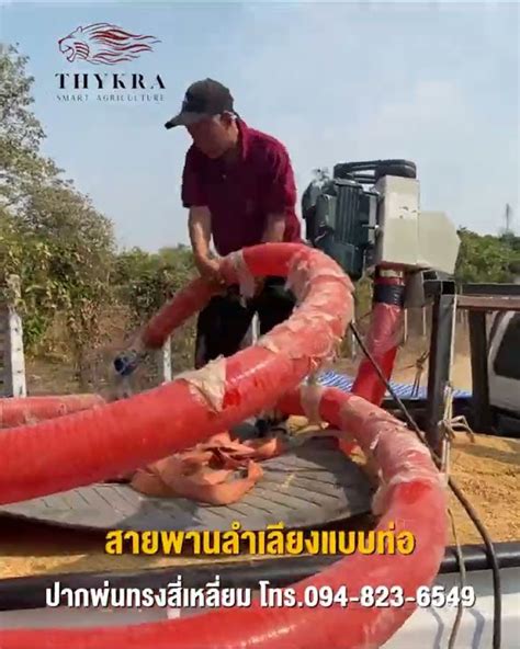 จำหน่าย สายพานลำเลียง สายพายลำเลียงข้าว สายพานลำเลียงขนาดเล็ก เครื่องจักรใหม่ที่ตอบโจทย์