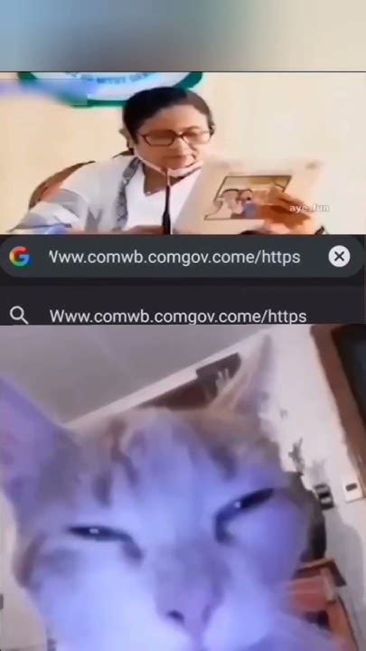 coding memes coding memes shorts shortvideo programming funny