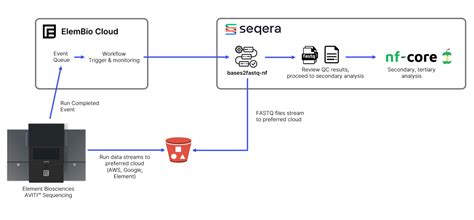 Element Biosciences And Seqera Flexible Powerful End To End Analysis At Scale