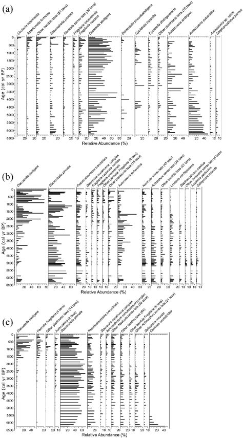Relative Abundance Of Common 5 Relative Abundance And Grouped Download Scientific Diagram