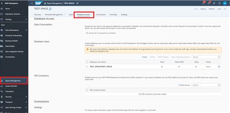 Datasphere To Power Bi Via An Odbc Connection Sap Community
