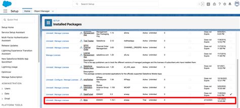 Installation Of Blink Your Guide To Salesforce Mass Conversion