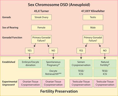 Options For Fertility Preservation In Sex Chromosome Dsd Aneuploid