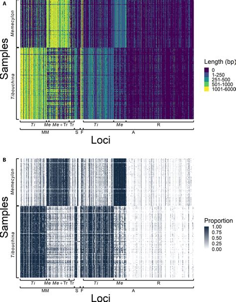Heatmap Showing Sequencing Success Of Target Enrichment For Memecylon