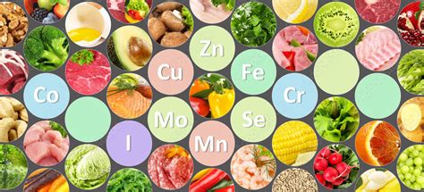 Essential Trace Elements Of The Human Body Include Zinc Zn Copper
