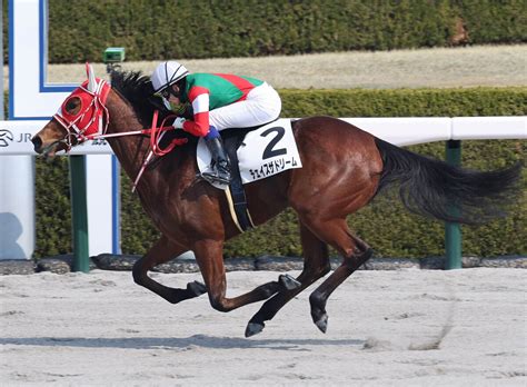 【阪神2r・3歳未勝利】古川奈穂騎手が6番人気チェイスザドリームで今年3勝目 「上のクラスでも勝負になると思う」 Umatoku 馬トク