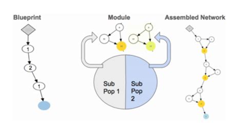 进化计算前沿综述：值得算法学习的6个生物进化特征 集智俱乐部