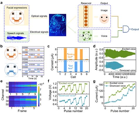 山东大学郑立梅教授团队afm 光电神经形态器件在多模态传感内计算中的应用 腾讯新闻