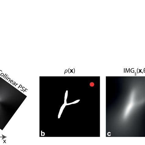 The Collinear And Transverse Image Components For X Space Mpi A The