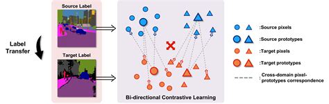 Bi Directional Contrastive Learning For Domain Adaptive Semantic Segmentation
