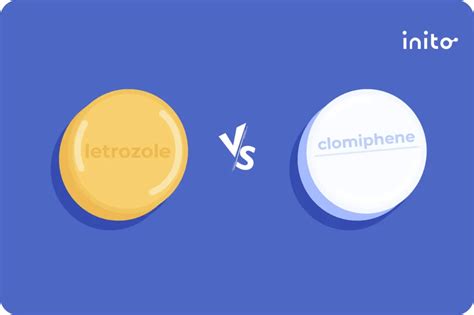 Clomid® Vs Letrozole A Complete Comparison Inito