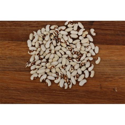 Sex Without Strings Category