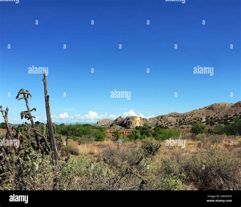 Scenic Cerrillos Hills Cactus And Rustic Wooden Post Form Views From