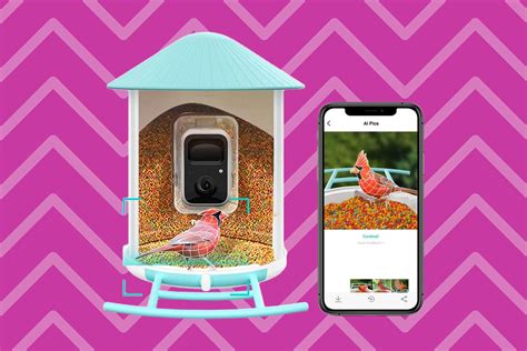 The 15 Best Bird Feeders Of 2023