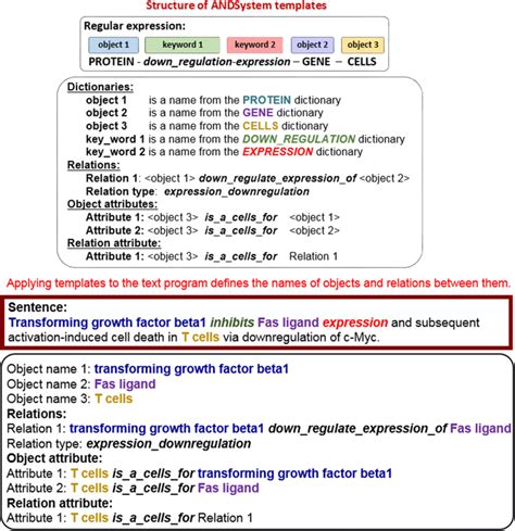 An Example Of Semantic Linguistic Template From ANDSystem And Result Of Download Scientific
