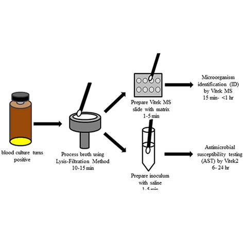 Bacterial Growth Identification And Sensitivity Vitek 2 Test In Delhi India Gdic