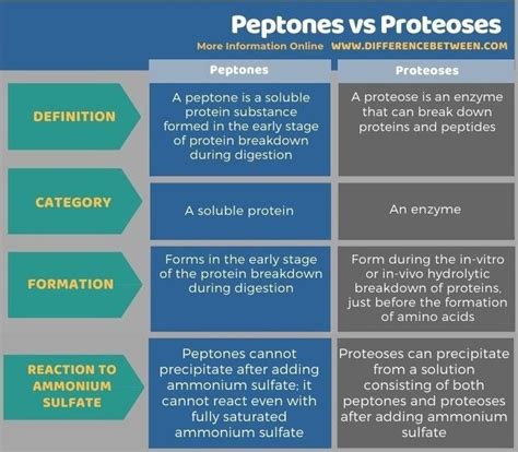 Peptones Vs Proteoses Tabular Form Functional Group Different