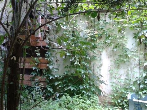 Madame Terre Chez Alfred Jarry à Corbeil Alina Reyes