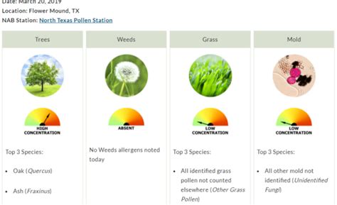 Tree Pollen Alert March 20 2019 Family Allergy Asthma Care