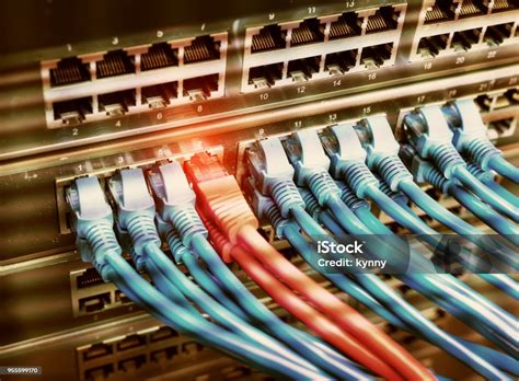 Information Technology Computer Network Telecommunication Ethernet Cables Connected To Switch