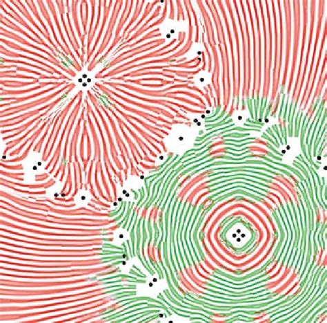 6 Major And Minor Eigenvector Field With Textures Applied A Displays