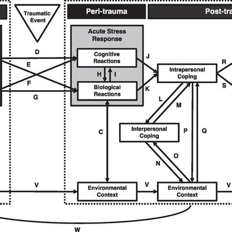 Conceptual Model Portraying The Integrated Biopsychosocial Model Of Download Scientific Diagram
