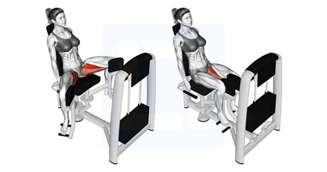 Lever Seated Hip Adduction Guide Benefits And Form