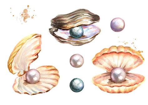 3353 Oyster With Pearl Illustrations Royalty Free Vector Graphics And Clip Art Istock