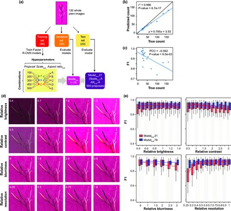 Fruit Counting Using Faster R Cnn Models A Fruit Counting Workflow