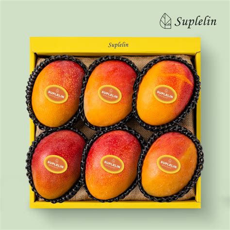 수플린 애플망고 선물세트 24kg 이상 6입로얄과