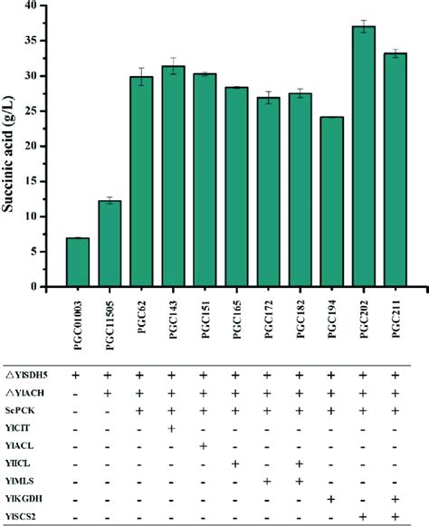 Combinatorial Effect Of Different Genetic Modifications In Y Download Scientific Diagram