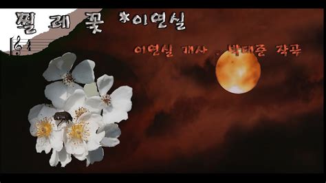 찔레꽃 가을밤 이연실 개사 박태준 곡 엄마 일 가는 길에 하얀 찔레꽃 찔레꽃 하얀 잎은 맛도 좋지 ~ Youtube