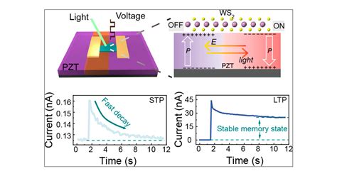 Artificial Optoelectronic Synapses Based On Ferroelectric Field Effect