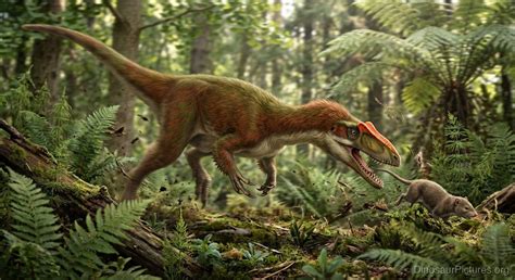 Kileskus Pictures And Facts The Dinosaur Database