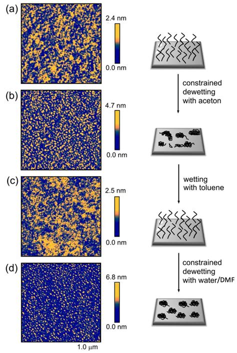 Constrained Dewetting Of Surface Grafted Linear Polystyrene Mn 64