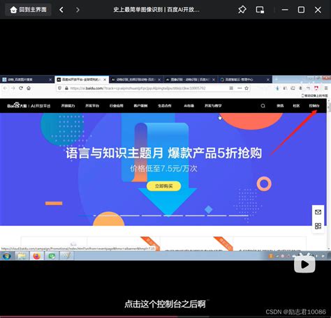 百度AI开放平台 QT图像识别P 百度AI 图像识别 P 图像编码处理 P 获取access token P 图像处理结果 qt creator图像识别 CSDN博客