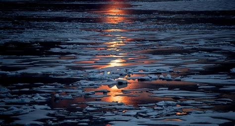 Trumps Absurd Attempt To Use Cold Spell To Deny Global Warming