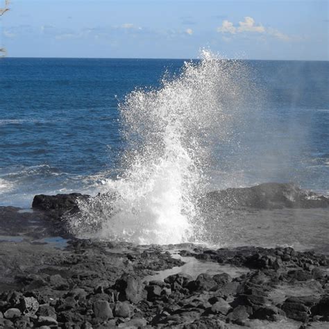 Anthony Marquez Youtube