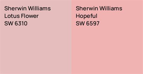 Sherwin Williams Lotus Flower Vs Sherwin Williams Hopeful Comparison