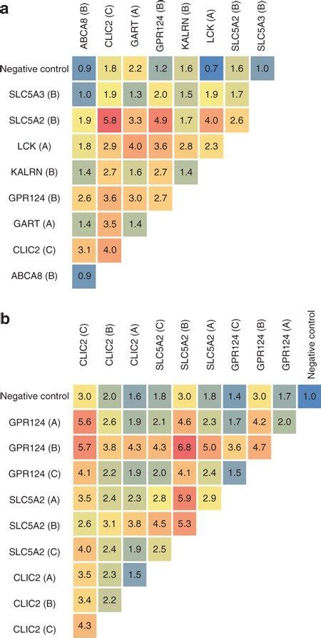 Pairwise Interactions Among Confirmed Short Interfering Rna Sirna