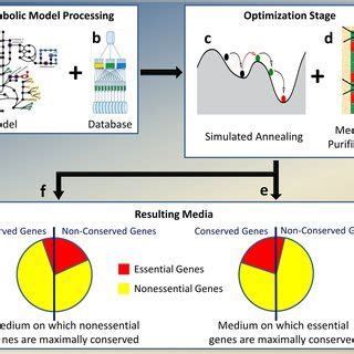 Algorithm For Finding A Medium With The Maximal Separation Between