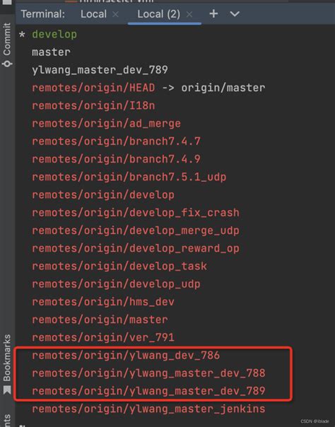 Git远端删除的分支，本地依然能看到 Git Remote Prune Origin
