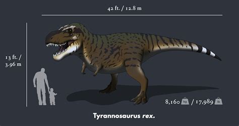 Tyrannosaurus Size